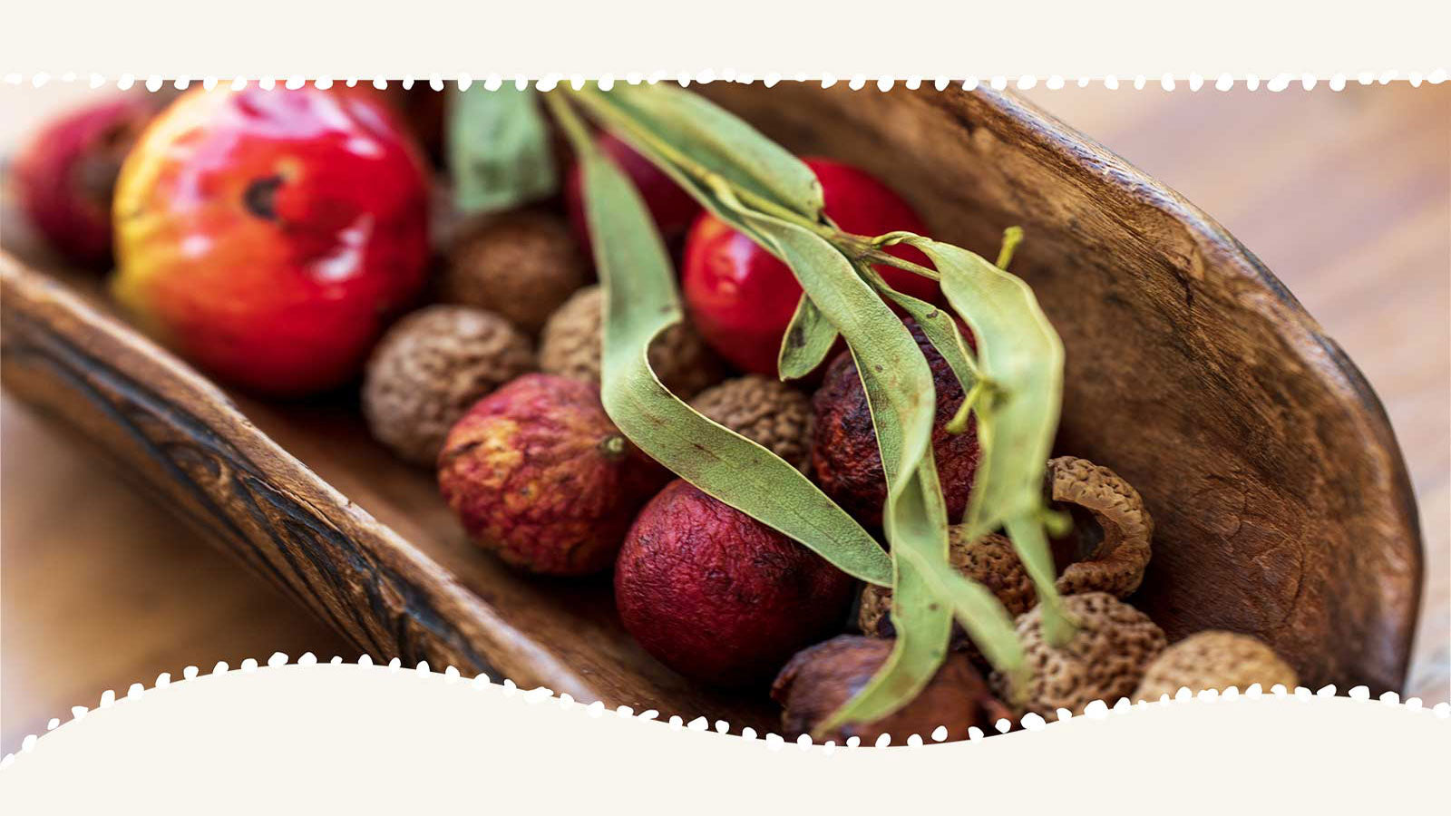 Indigiearth - modern Australian native products